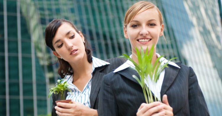 Todas as faces e tipos de inveja e invejosos