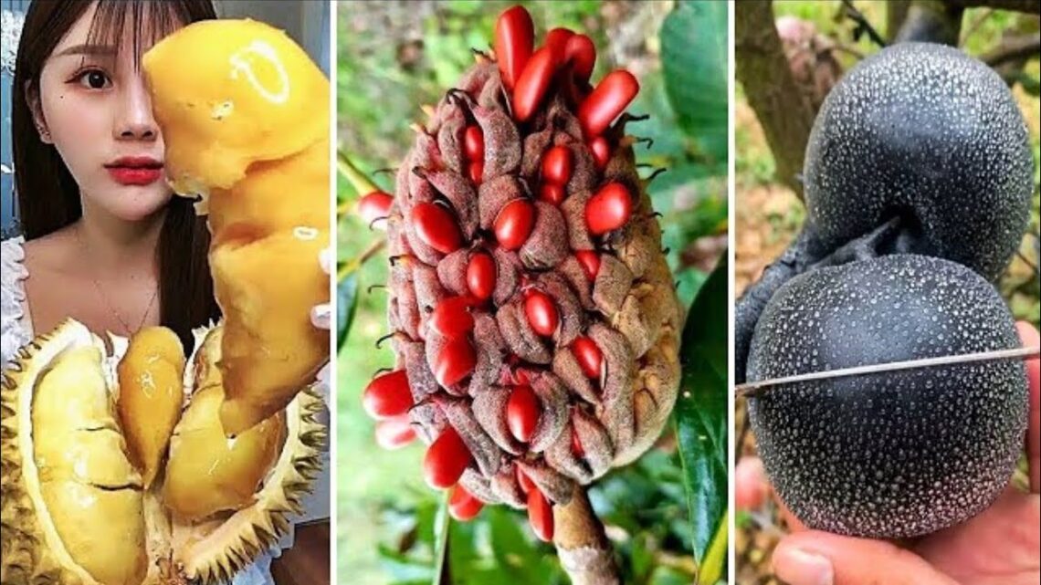 10 frutas que talvez sejam desconhecidas para você