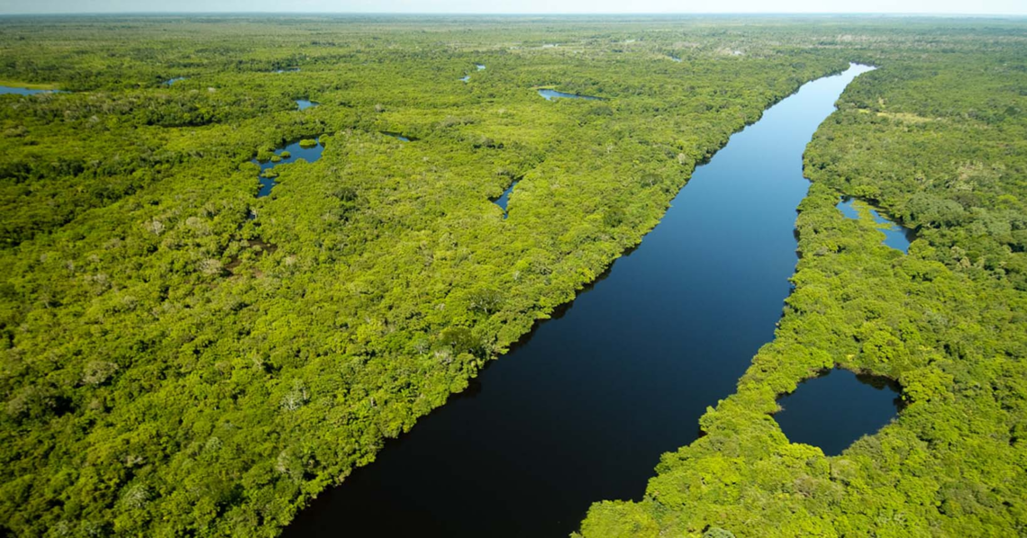 Saiba quais são as atrações do Pantanal
