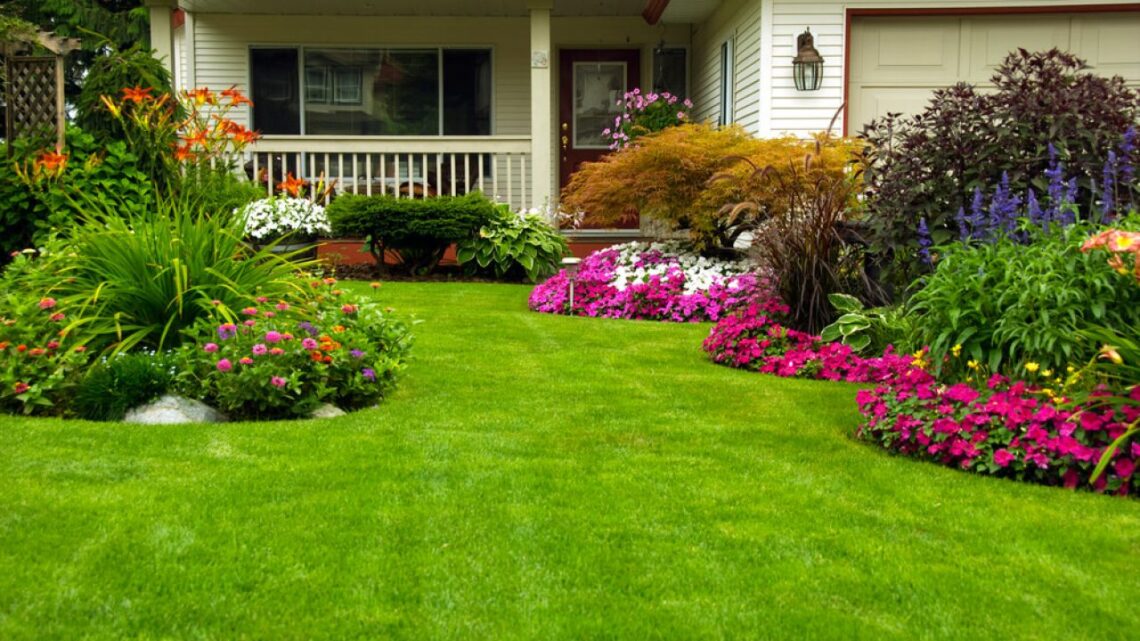 Veja as dicas para construir um jardim em casa