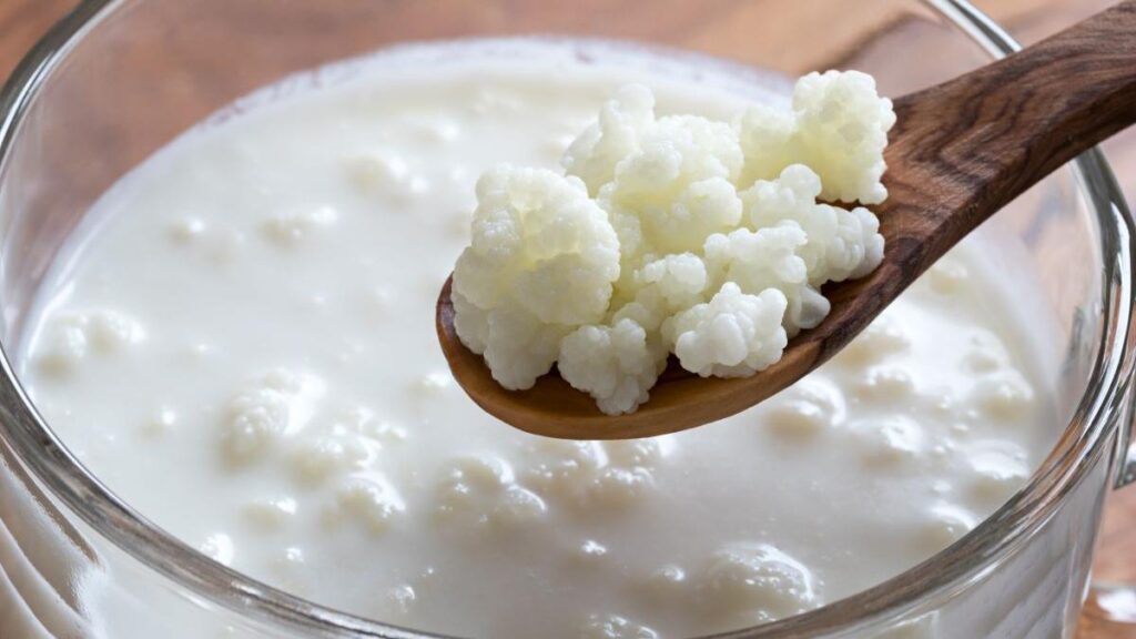 Kefir: Conheça o alimento probiótico que acelera o metabolismo